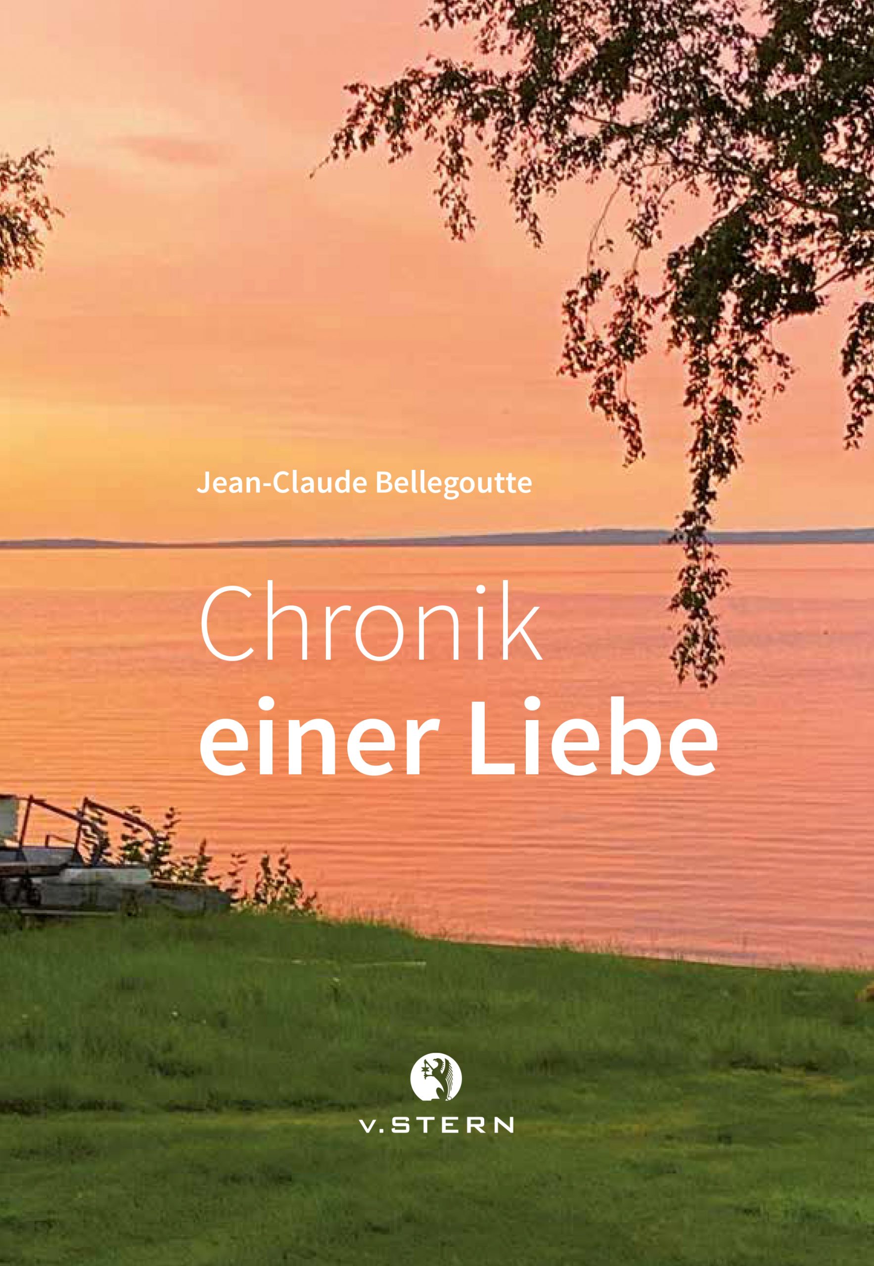 Buch Chronik einer Liebe: Chronik einer Liebe - von Stern % Druckerei ...